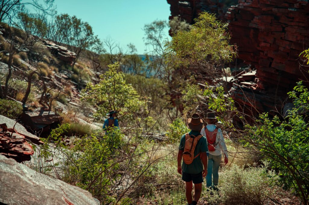 Home - Cheela Plains Station Stay