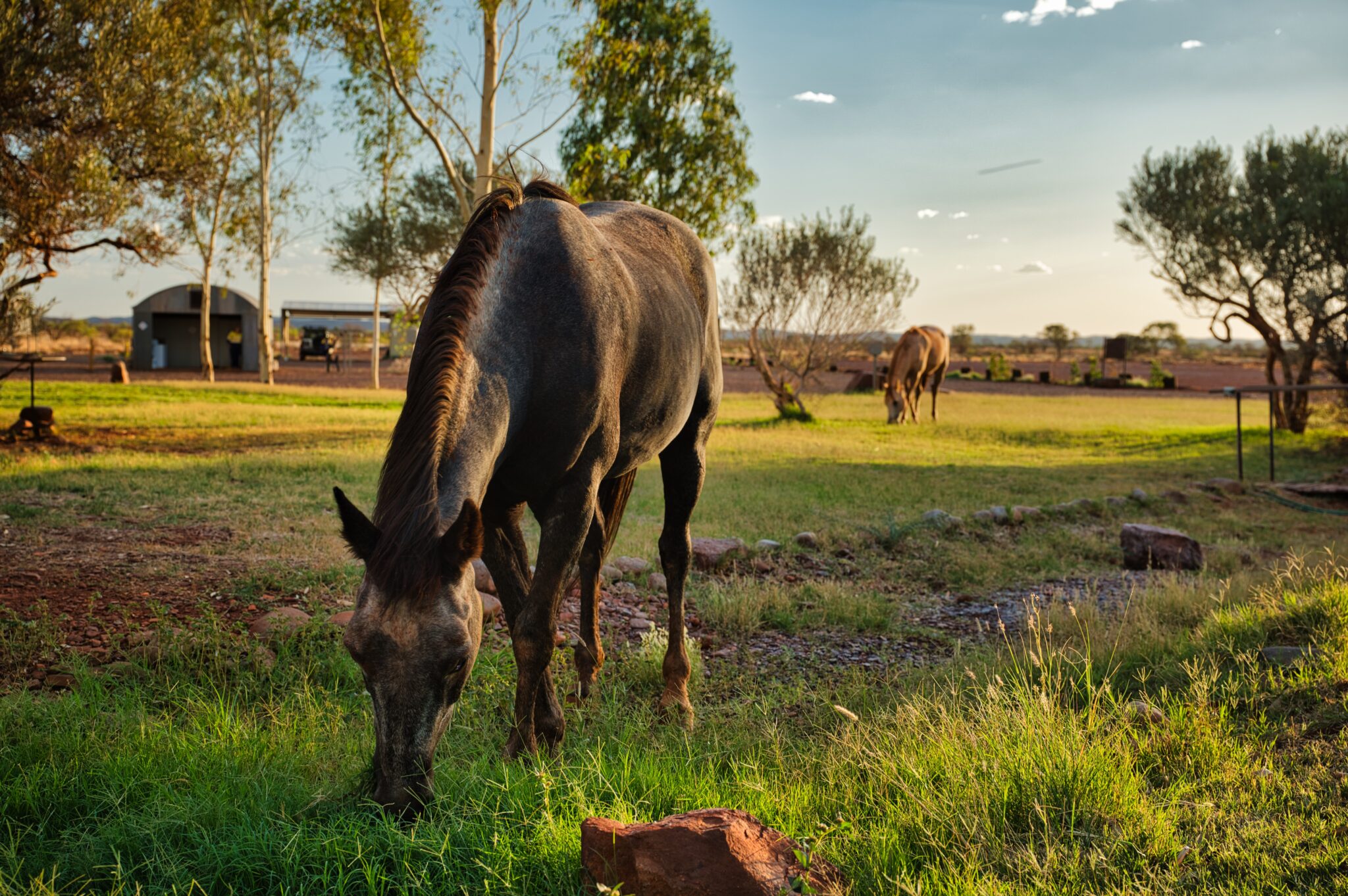Home - Cheela Plains Station Stay