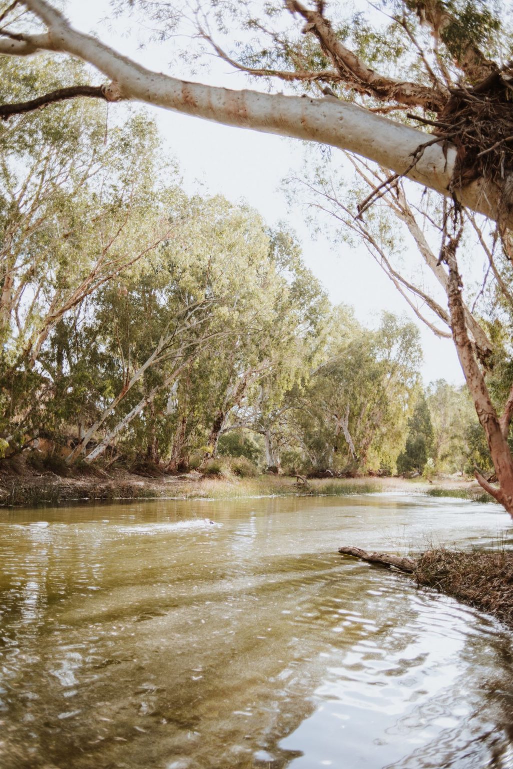Home - Cheela Plains Station Stay