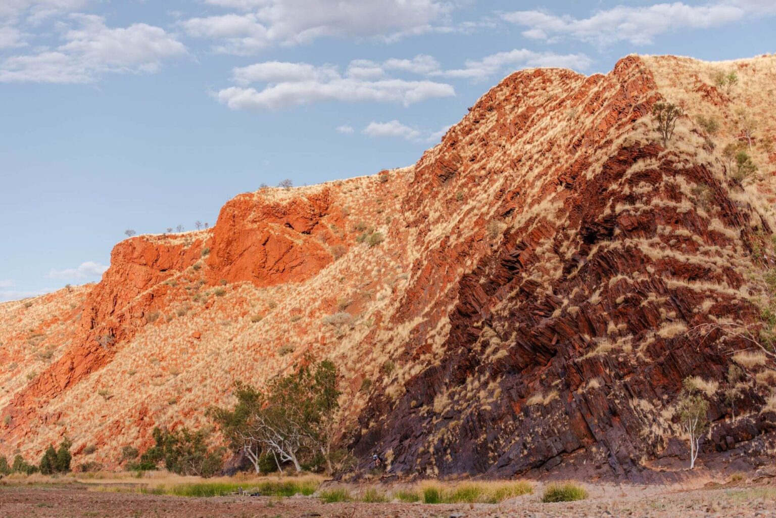Home - Cheela Plains Station Stay